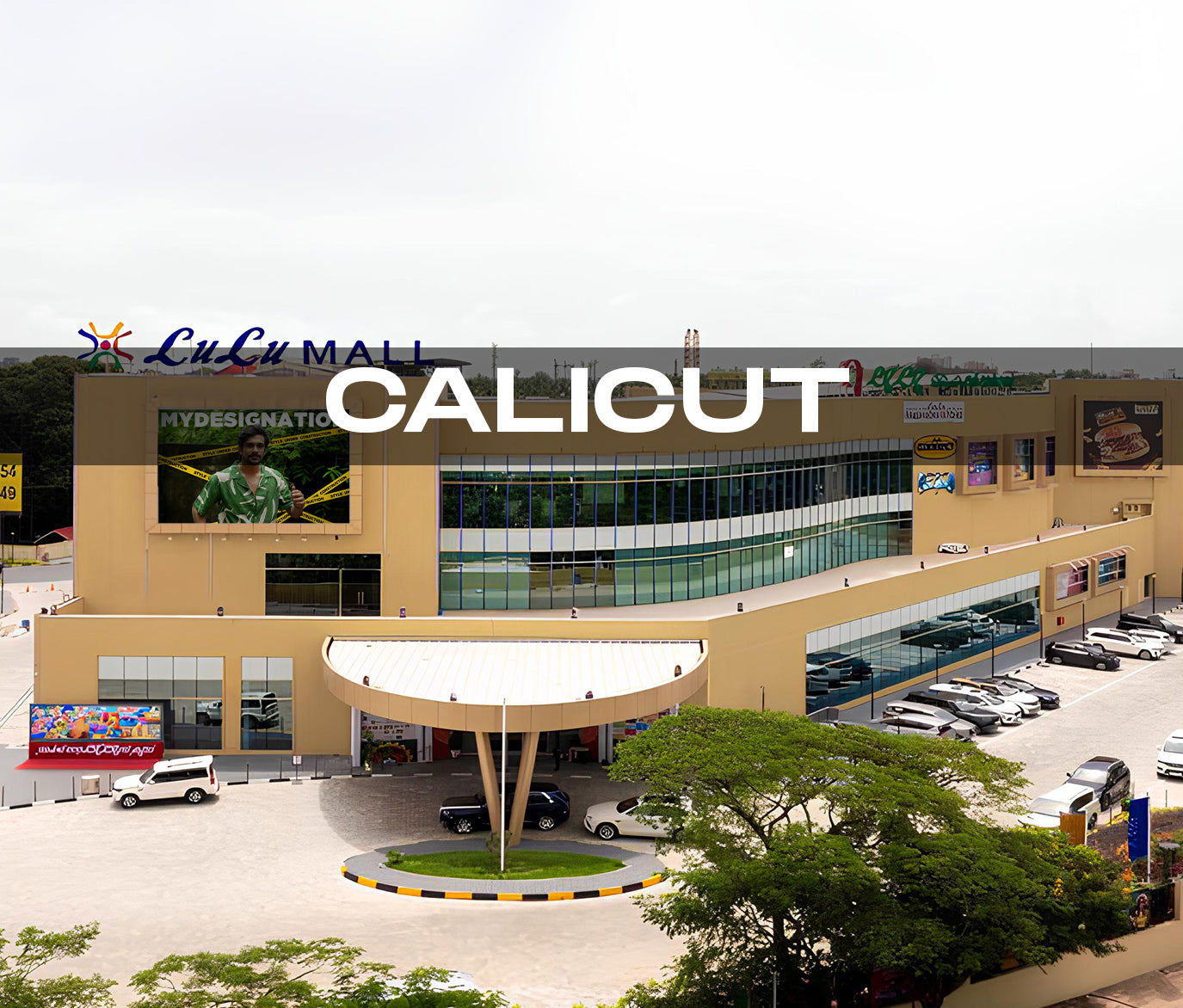 Contact Us — Get in Touch with Us Today | Mydesignation